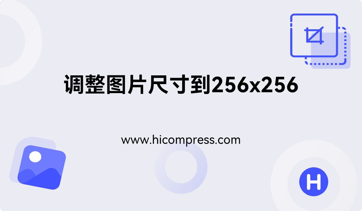 无质量损失地将图像调整为256x256像素